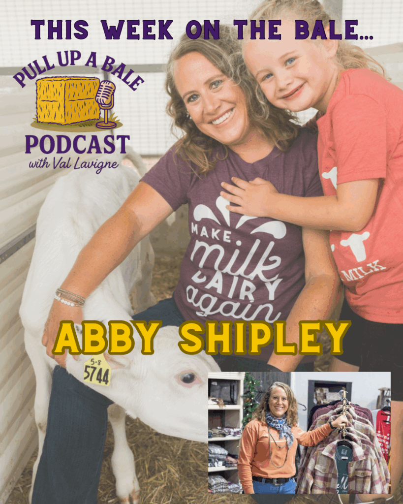 About Balance on Pull Up a Bale Podcast with Abby Shipley